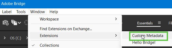 Custom Metadata Panel step-1+13 - IPTC