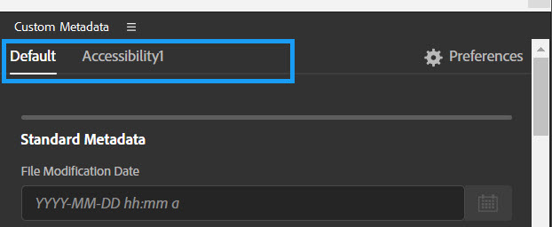 Custom Metadata Panel step-2 - IPTC