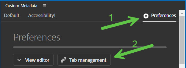 Custom Metadata Panel step-3 - IPTC